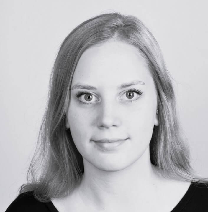 Consulting - HORIZONTE-Group